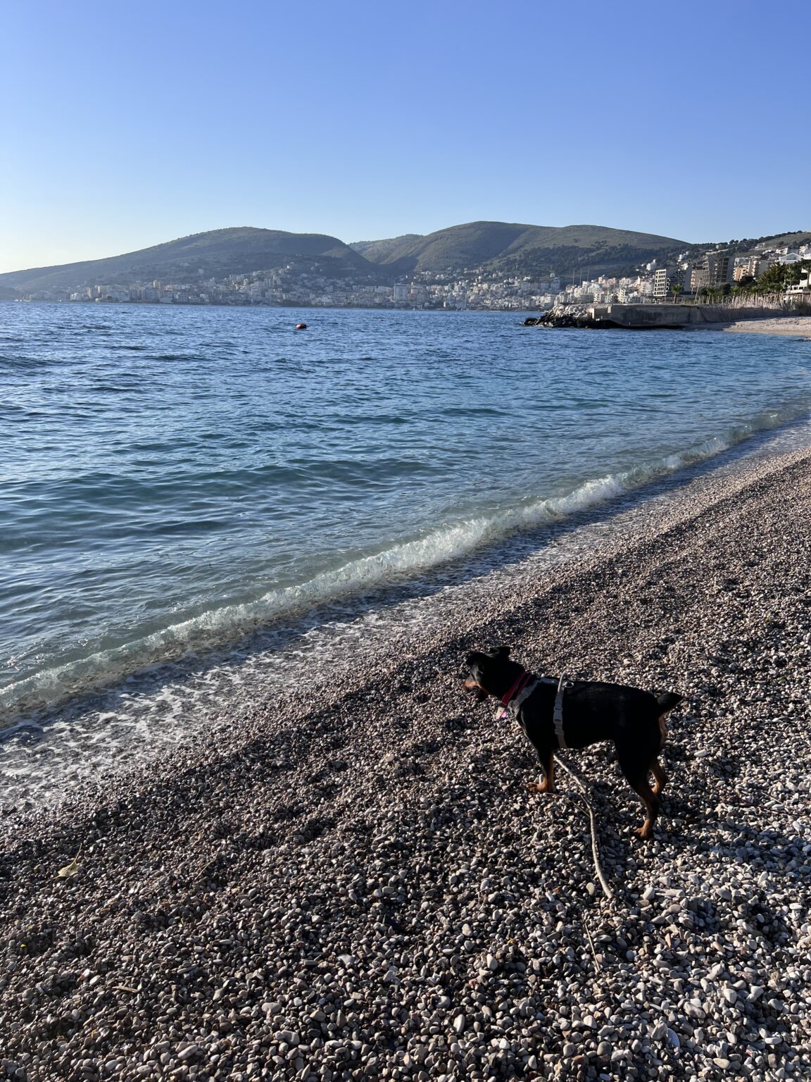 Know Before You Go Sarandë - Sighting Sarah